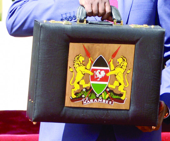 Build more efficient budgeting process - People Daily