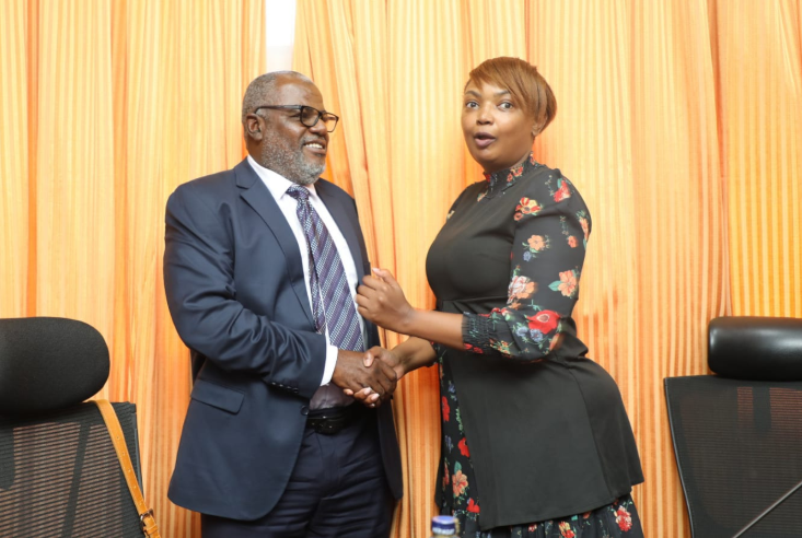Senators Mohamed Faki and Karen Nyamu elected to lead lands committee ...