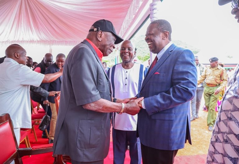 Former VP Moody Awori gives advice on parenting in rare public ...