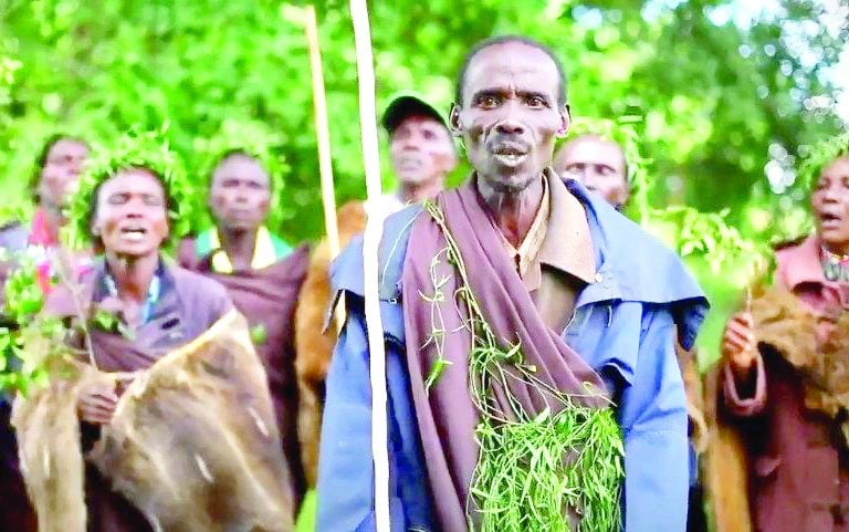 Ogiek advance indigenous, forest peoples’ rights battle - People Daily