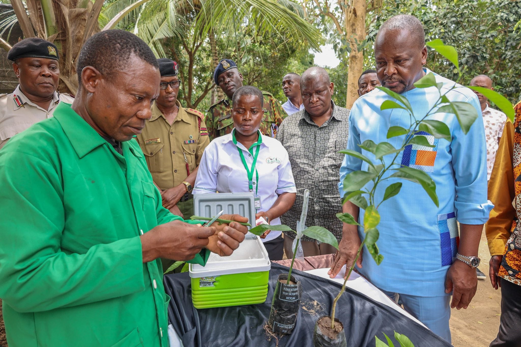 CS Kagwe urges end to Kenya’s egg imports, now at 5B annually - People ...
