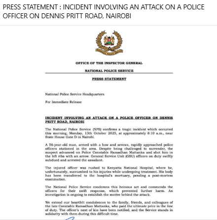 Man armed with arrows spears police officer to death at State House ...