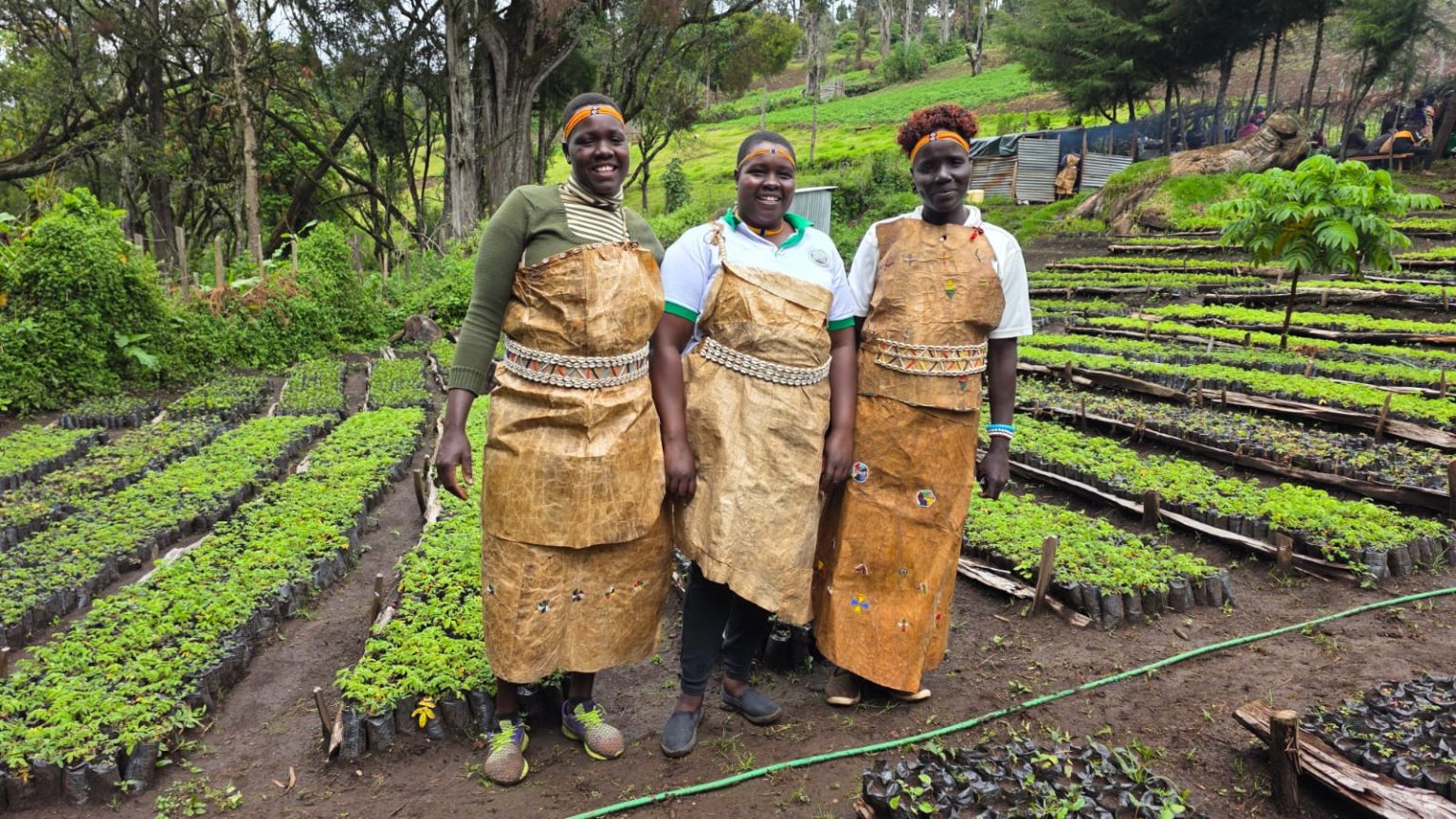 Waters of life: How Elgeyo Marakwet’s indigenous communities are saving ...