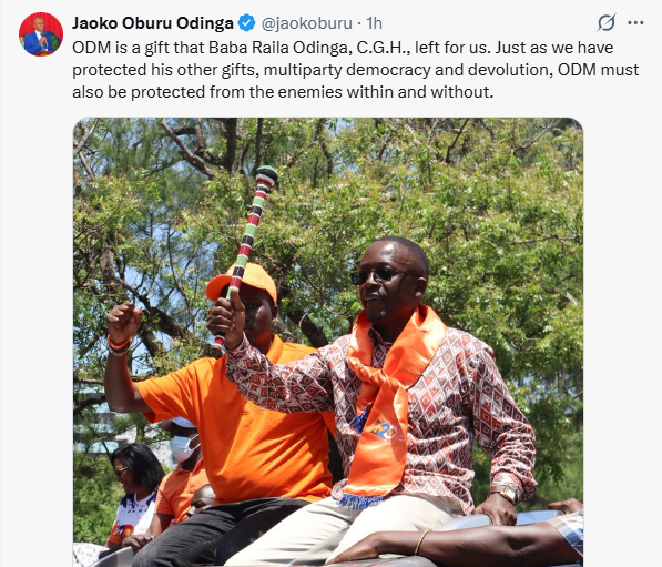 Jaoko Oburu describes ODM as gift from Raila, calls for protection ...