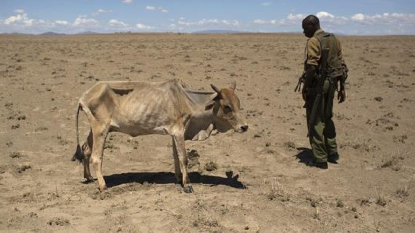 Inside govt’s billions to combat drought as humanitarian crisis deepens ...