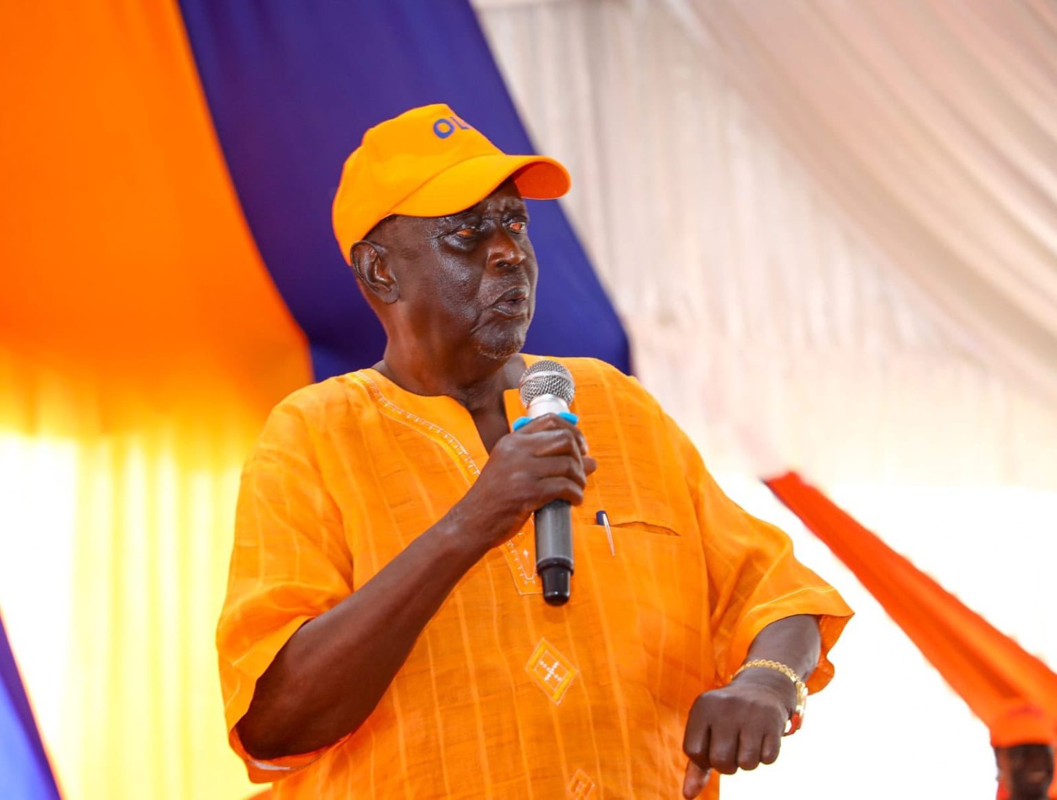 Senator Maanzo claims ODM has numbers to form govt alone in 2027 ...