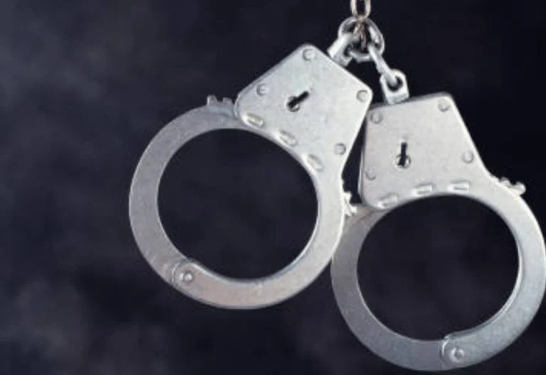 4 members of a machete-wielding gang arrested after shocking Kwale ...