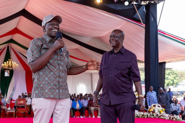 Senator Nyutu explains why zoning could shake ODM 2027 political matrix ...