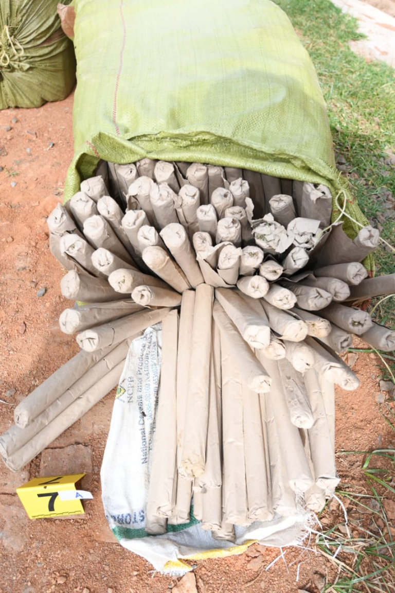 Detectives in Bomet seize 1,600 rolls of bhang, nab one after dramatic ...